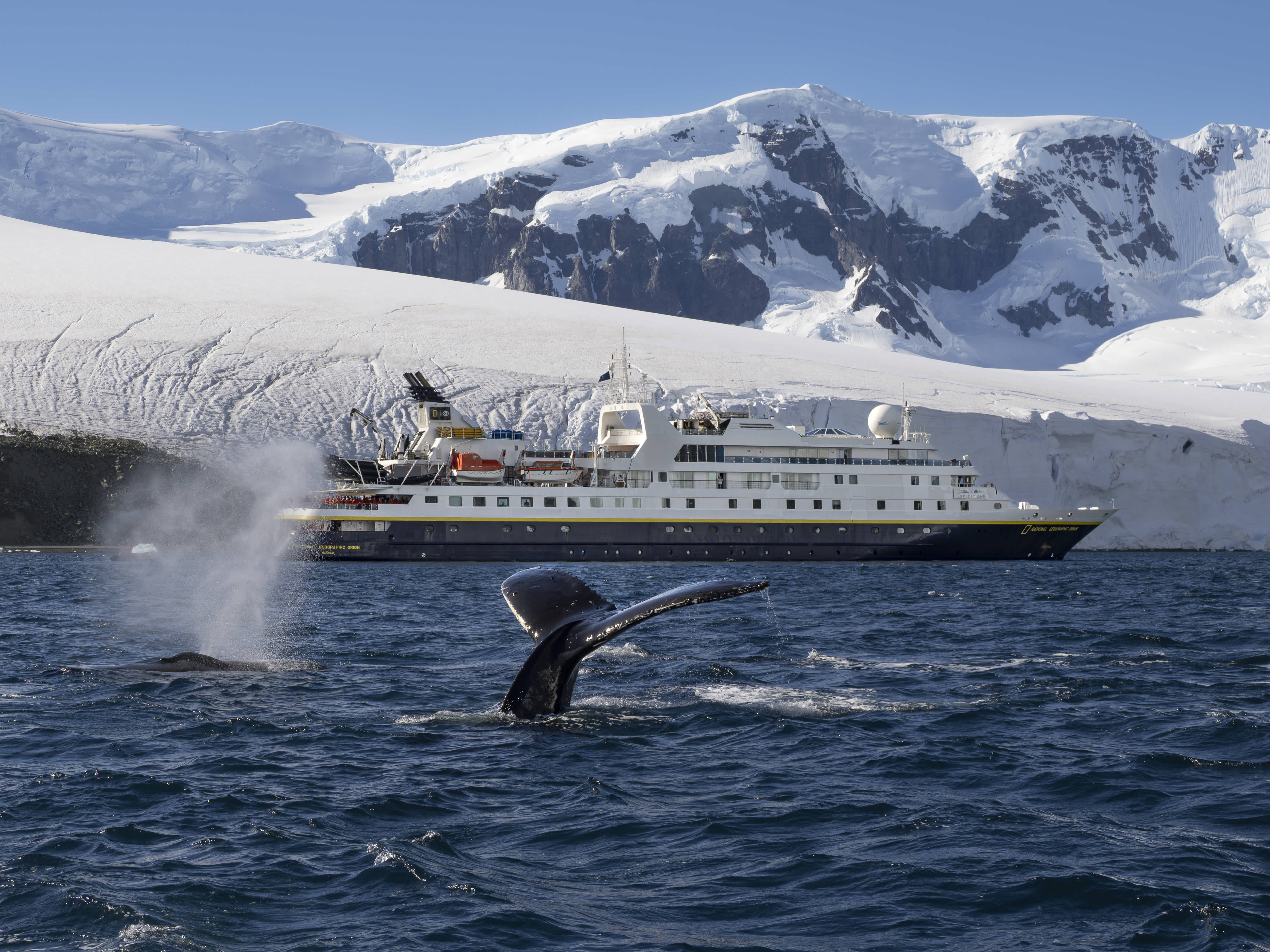 Members-only Once-in-a-Lifetime Journey in Antarctica | Exclusive ...